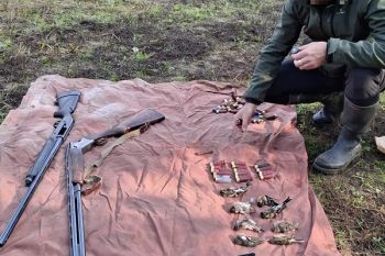 Committee Against Bird Slaughter (CABS)